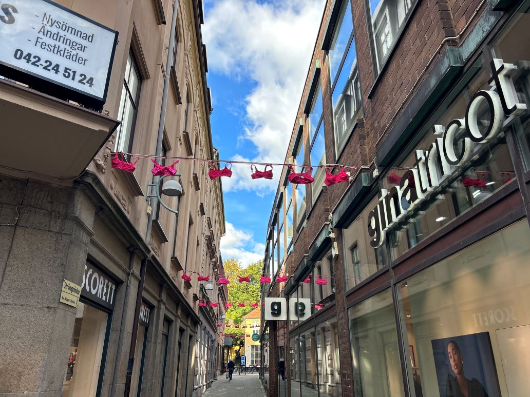 50 rosa bh:ar i Strömgränden - Nöjesnytt Helsingborg